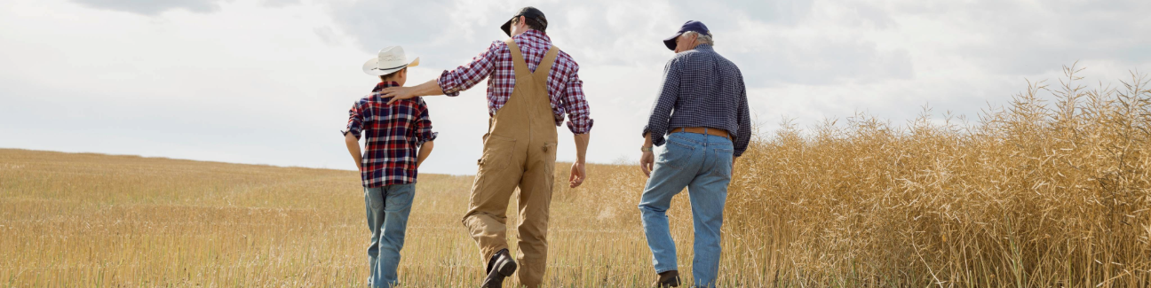 Buckeye Insurance Group